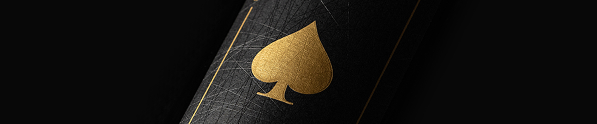 Vineyard 36 - PASSION BECOMES CONTAGIOUS WHEN SHARED