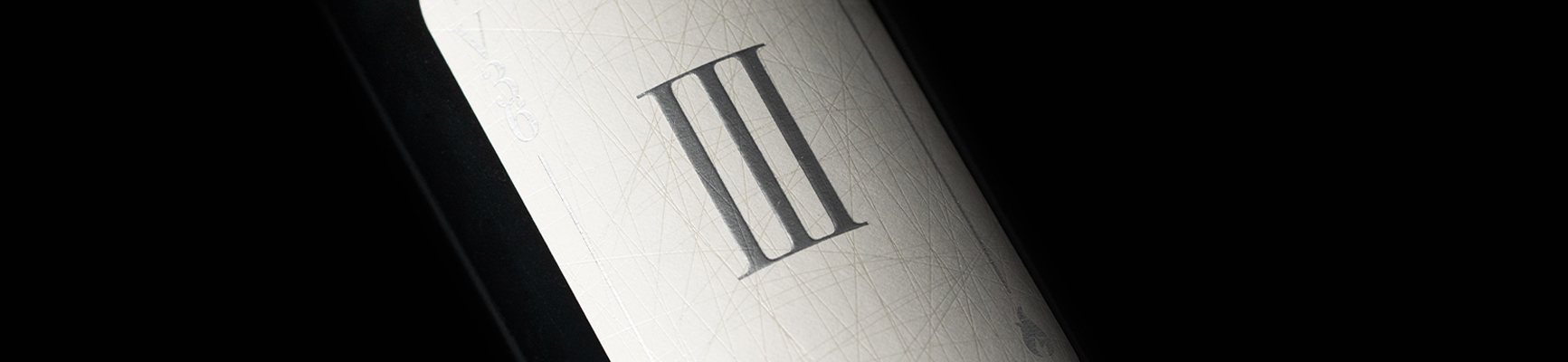 Vineyard 36 - PASSION BECOMES CONTAGIOUS WHEN SHARED