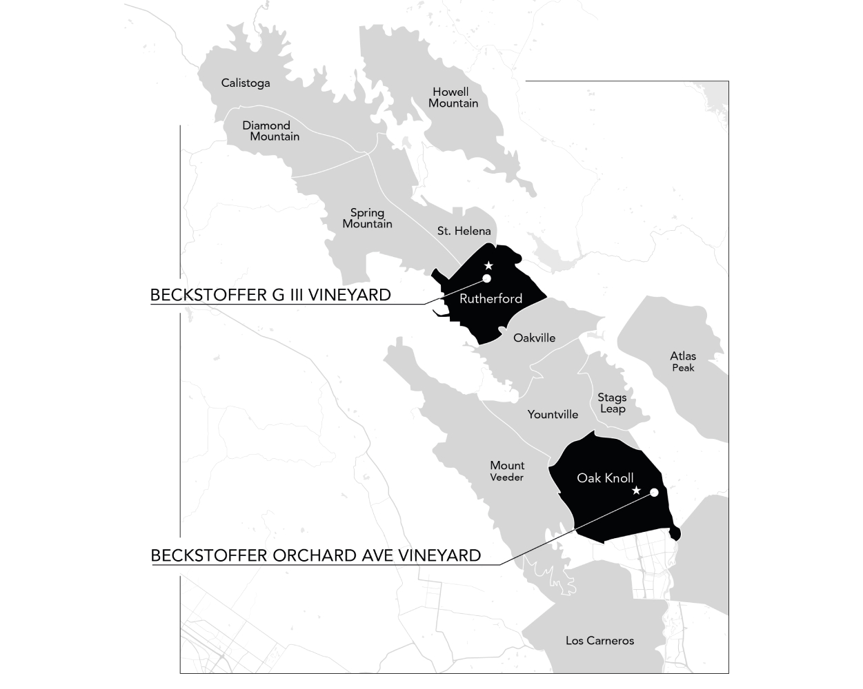 Vineyard 36 - PASSION BECOMES CONTAGIOUS WHEN SHARED